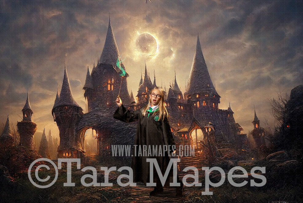 Wizard Hut Entrance Digital Backdrop - Wizard House Castle Digital ...