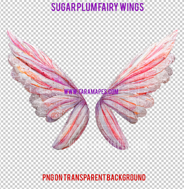 Sugar Plum Fairy Wing Overlay - Fairy Wing Overlay - Digital Candy ...