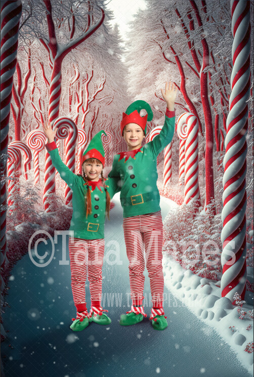 Candy Cane Forest Digital Backdrop - Peppermint Candy Forest - Candy ...