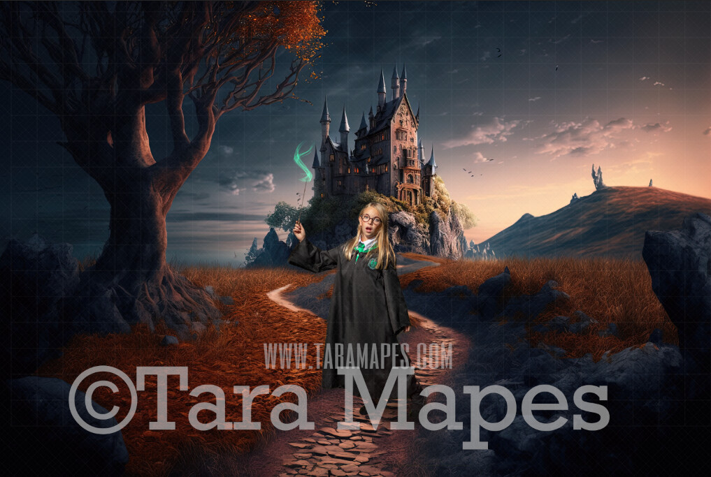 Wizard Castle Digital Backdrop - Wizard Castle Path - Magical Scene ...
