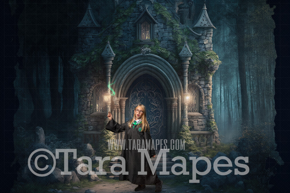 Wizard Castle Digital Backdrop - Wizard Castle Path - Magical Scene ...