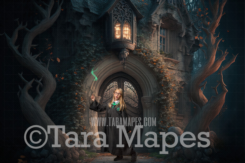 Wizard Castle Digital Backdrop - Wizard Castle Path - Magical Scene ...