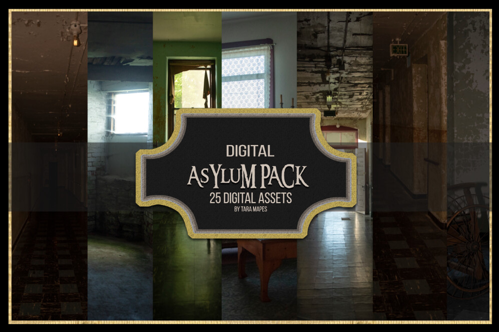 ASYLUM PACK - Haunted Abandoned Asylum Infirmary Digital Backgrounds ...