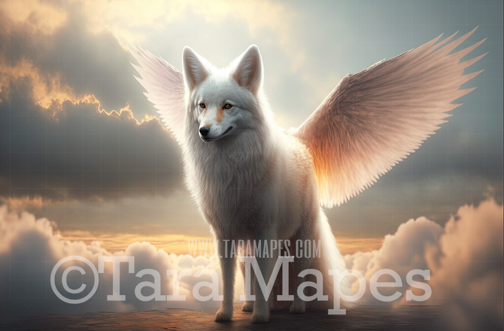 White Fox with Wings Digital Backdrop - Winged White Fox in Clouds ...