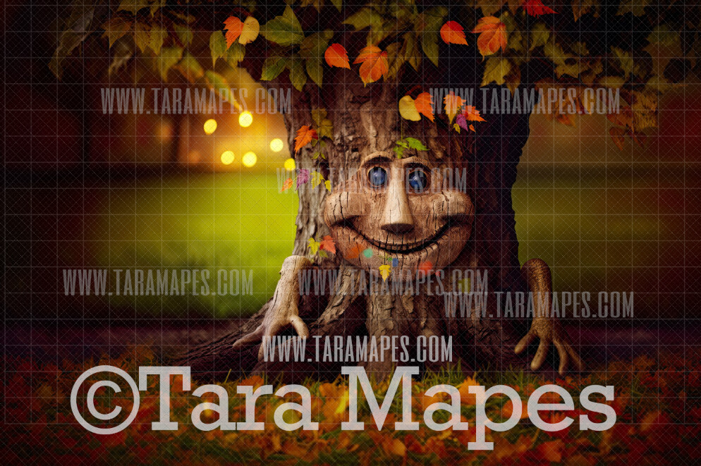 Enchanted Tree with Face - Tree Face in Enchanted Forest - Talking Tree ...
