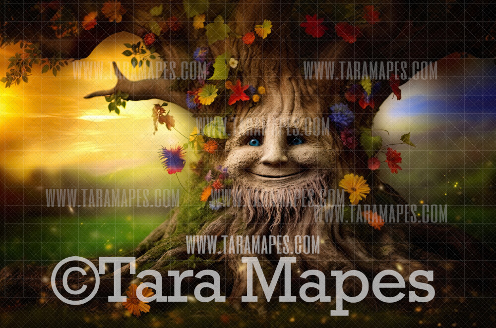 Enchanted Tree with Face - Tree Face in Enchanted Forest - Talking Tree ...