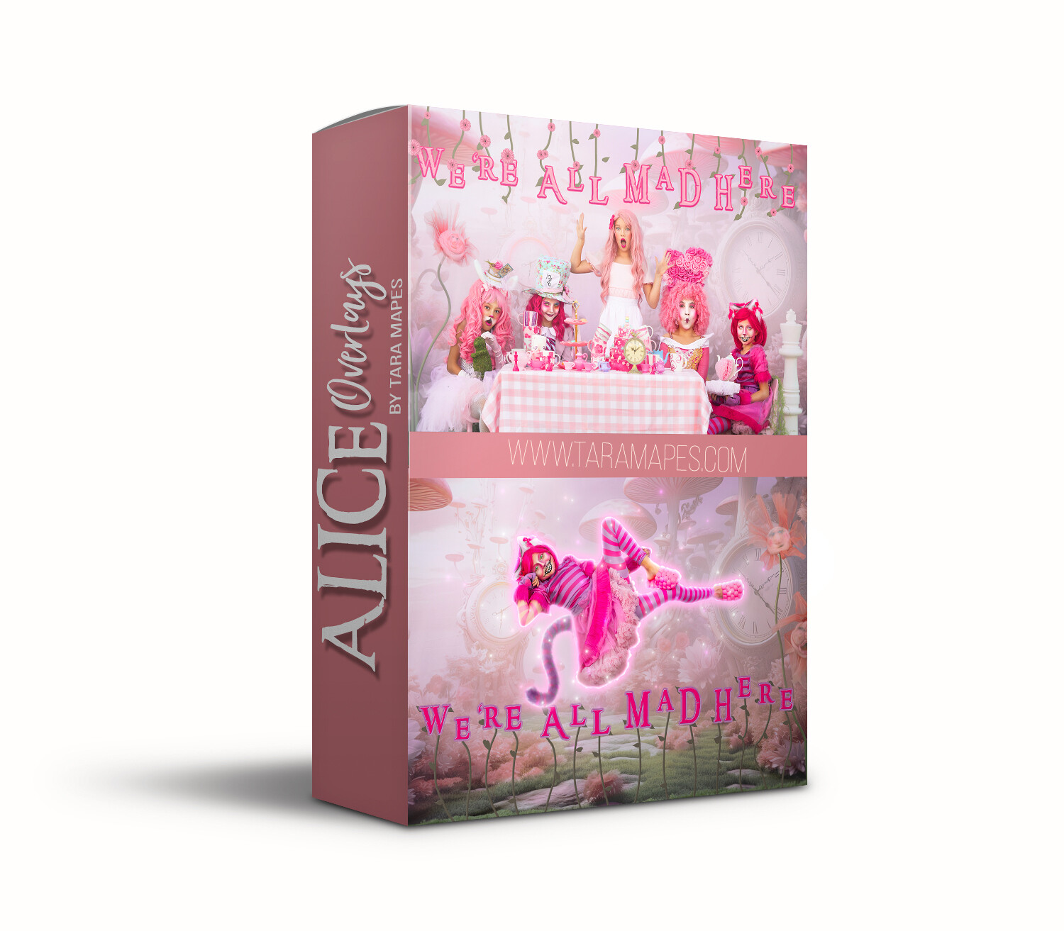 Alice in Wonderland We're All Mad Here Text PNG Overlays - Alice in ...