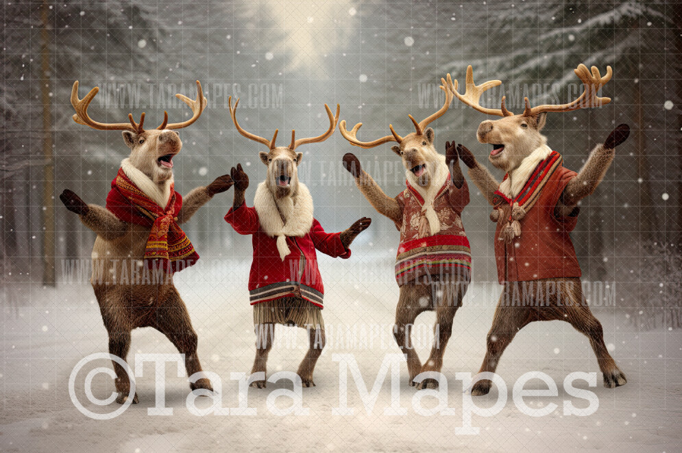 Reindeer Dancing - Dancing Reindeer - Funny Deer in Winter Snowy Scene ...