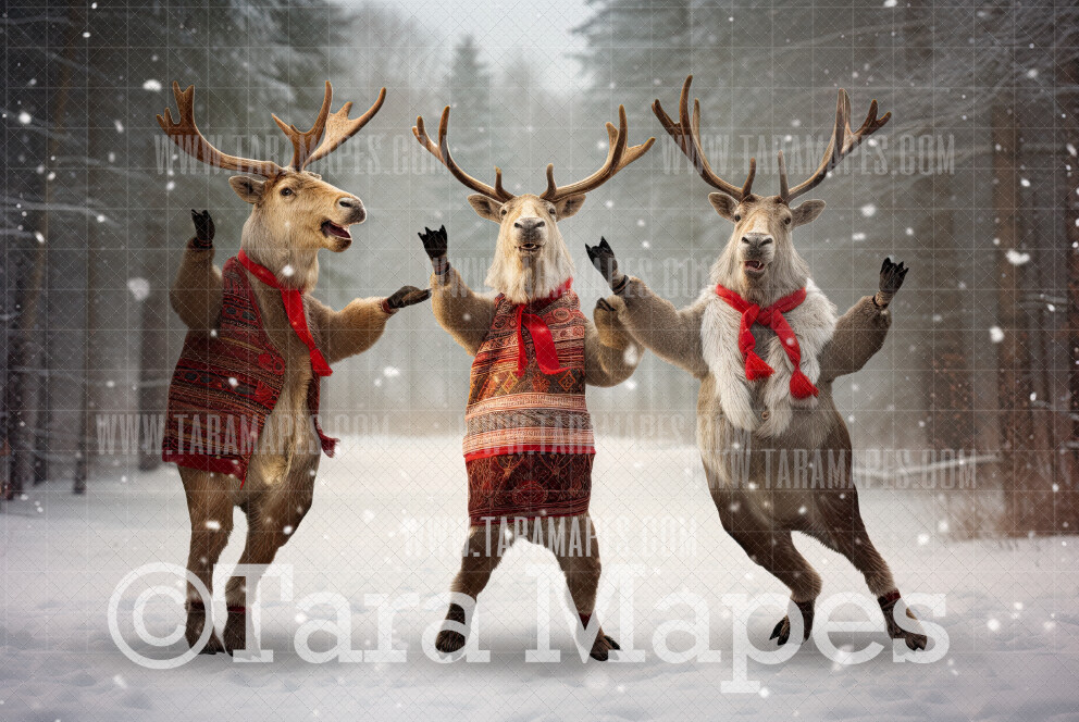 Reindeer Dancing - Dancing Reindeer - Funny Deer in Winter Snowy Scene ...