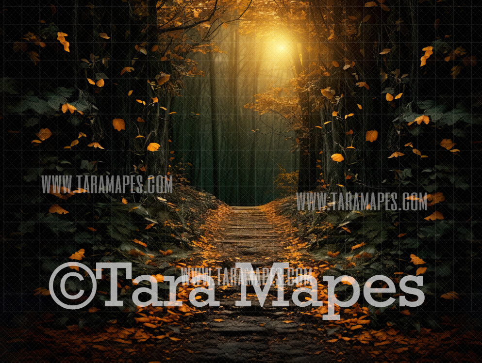 Fall Path Digital Backdrop - Autumn Path in Woods Digital Backdrop ...