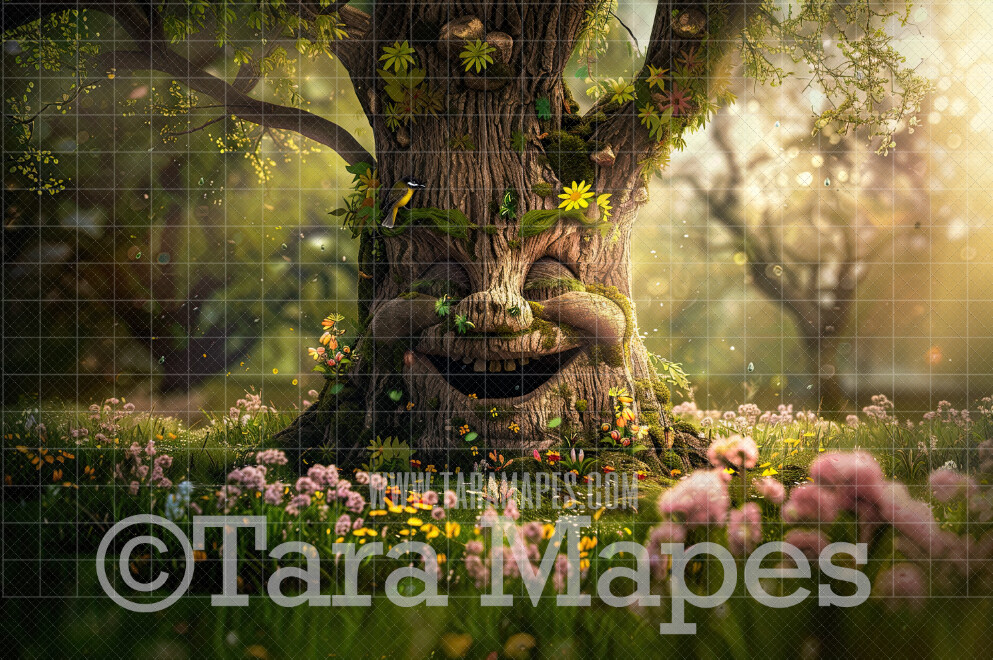 Enchanted Tree with Face - Tree Face in Enchanted Forest - Talking Tree ...