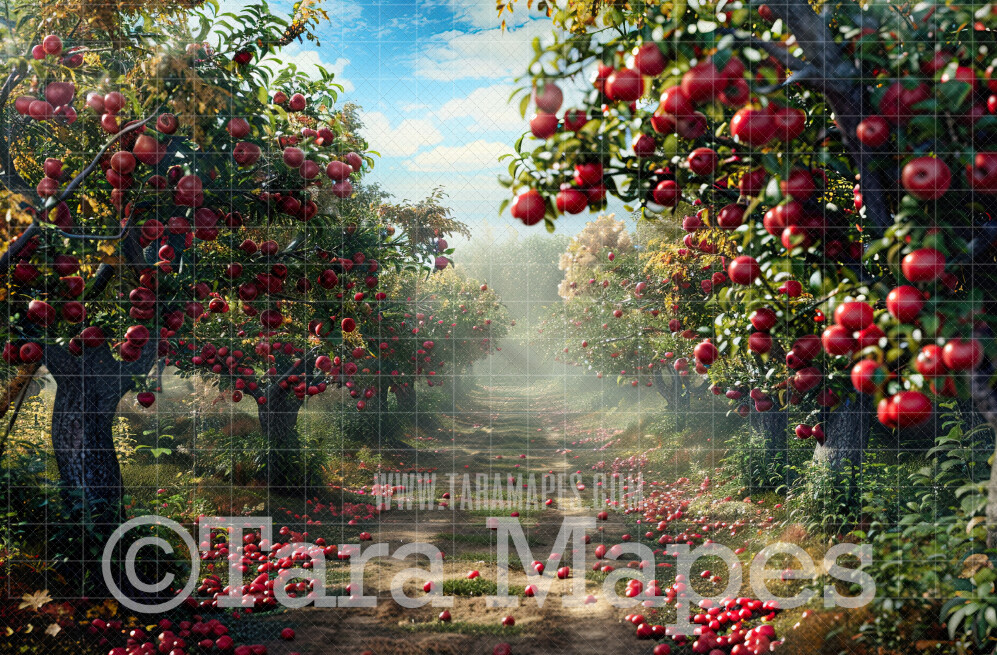 Apple Orchard Path - Spring Background - Creamy Background Apple ...