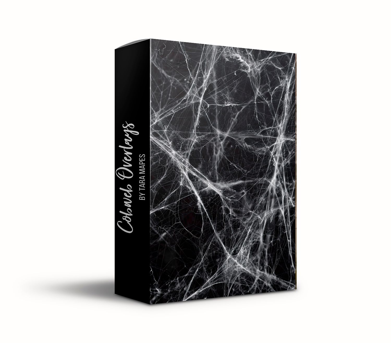 Cobweb Overlays - 54 Cobweb and Spiderweb Overlays