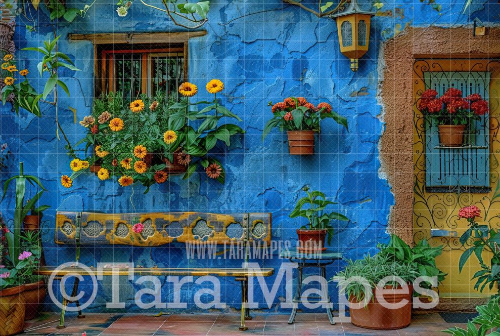 Spanish Wall Digital Backdrop - Colorful Digital Backdrop