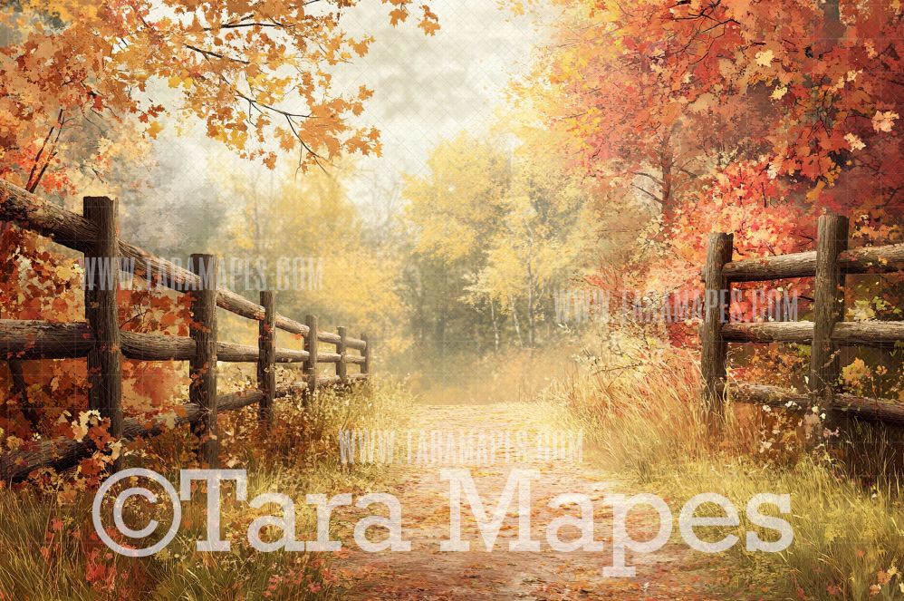 Fall Path Digital Backdrop - Autumn Path in Woods Digital Backdrop ...