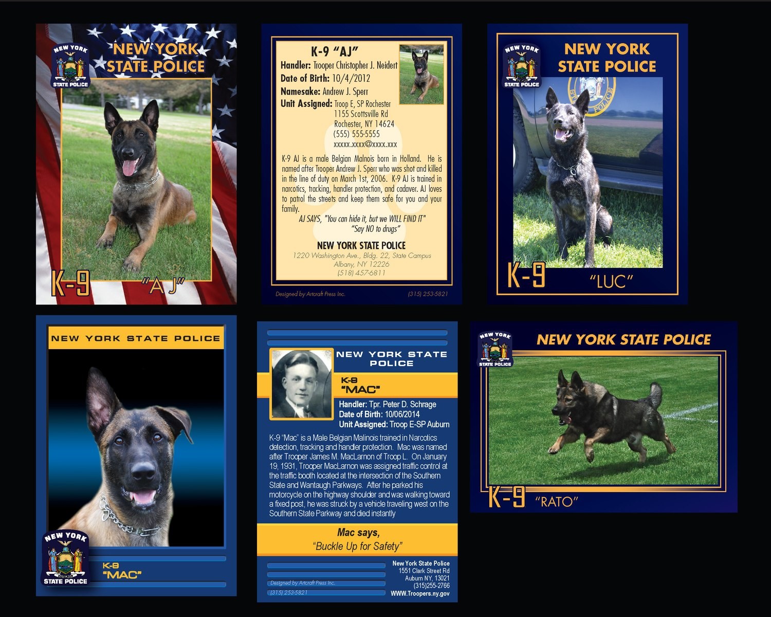 K9 Trading Cards