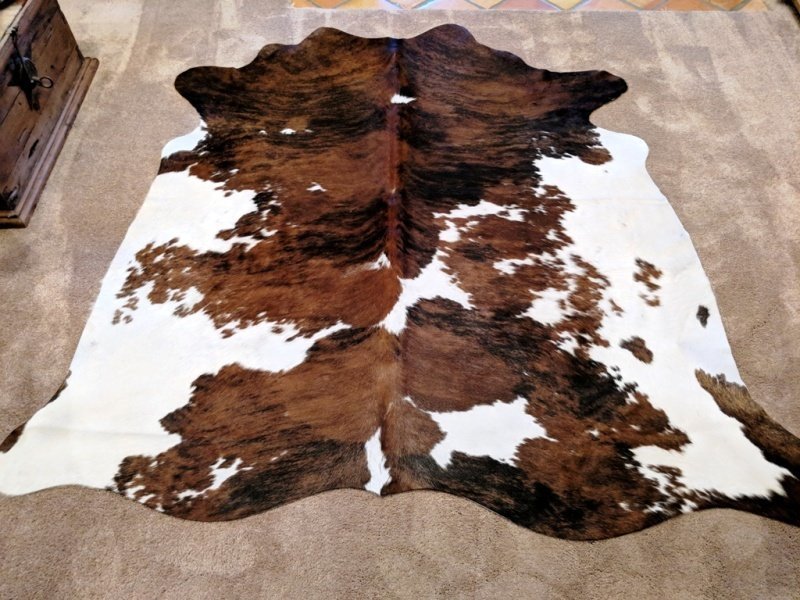 Cowhide Tri Color