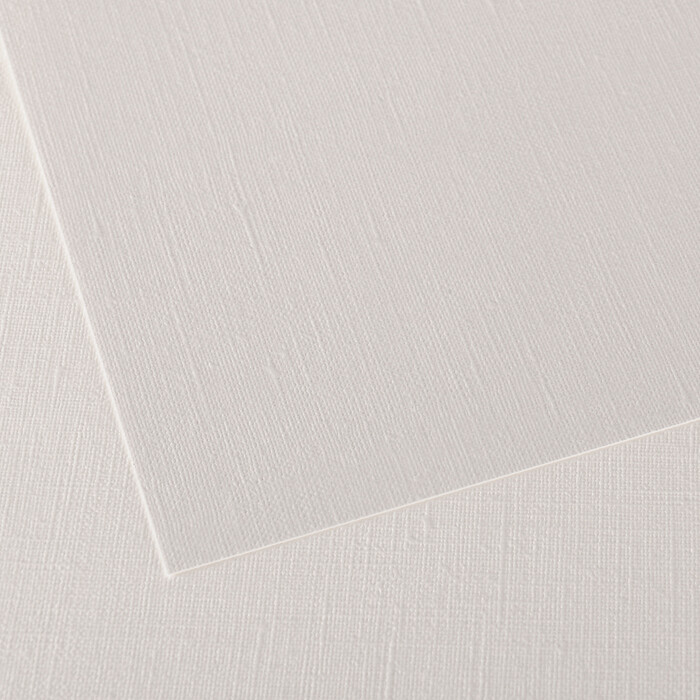 CANSON 50X65CM OIL ACRYLIC COLOUR PAPER 290GRM