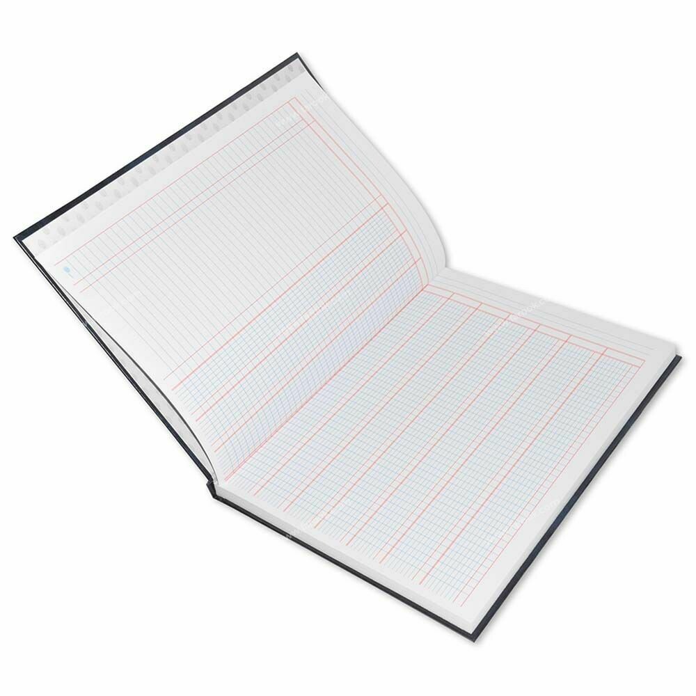 FIS ANALYSIS 8 COLUMN BOOK AN8