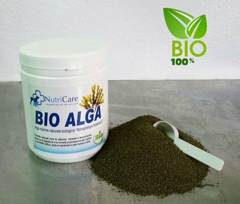 Bio Alga