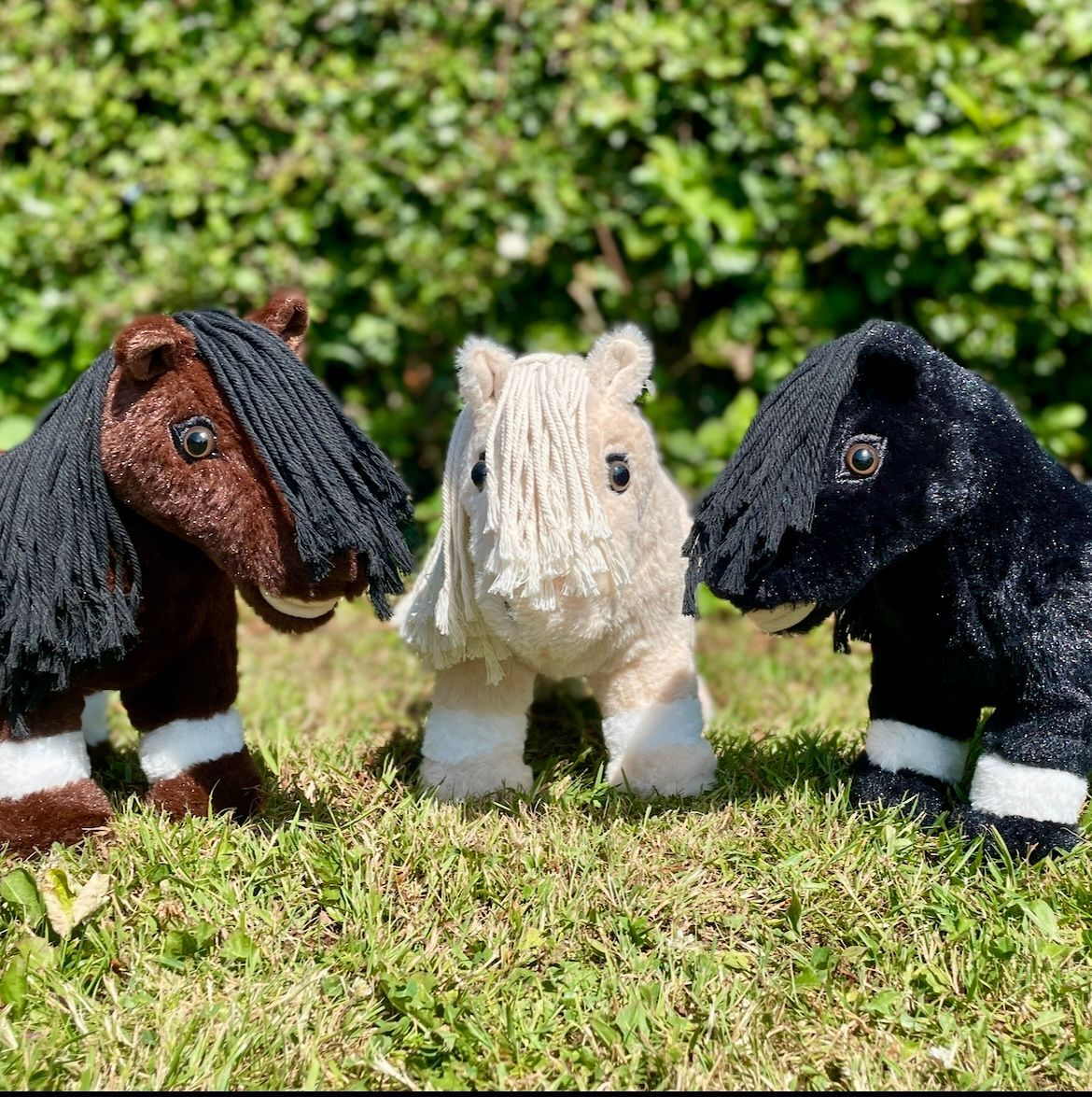 Cuddle Ponies