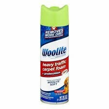 Woolite Carpet Cleaner 22oz