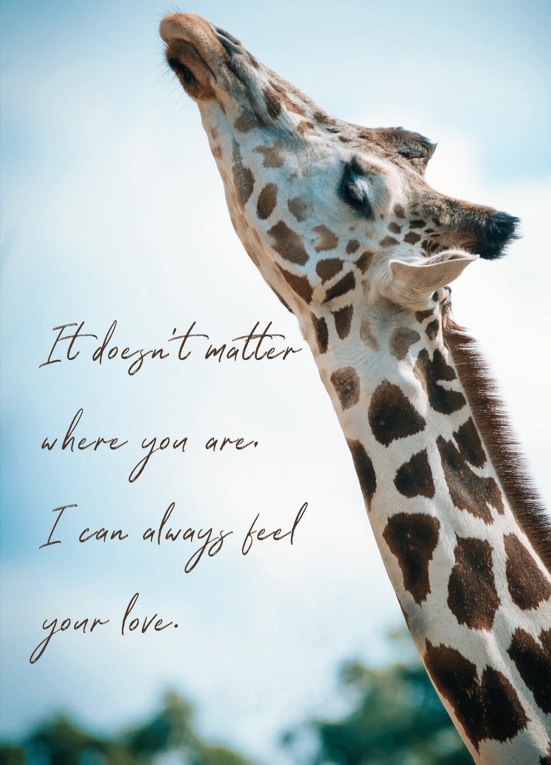 Premium Gratitude Cards: Giraffe