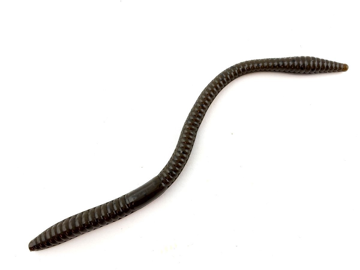 6" Finesse Worms – Green Pumpkin – Dolittle and Fishmore – Fishing ...