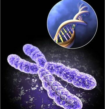 Epitalon 10mg/mL - Two 5mL Vials with Injection Kit