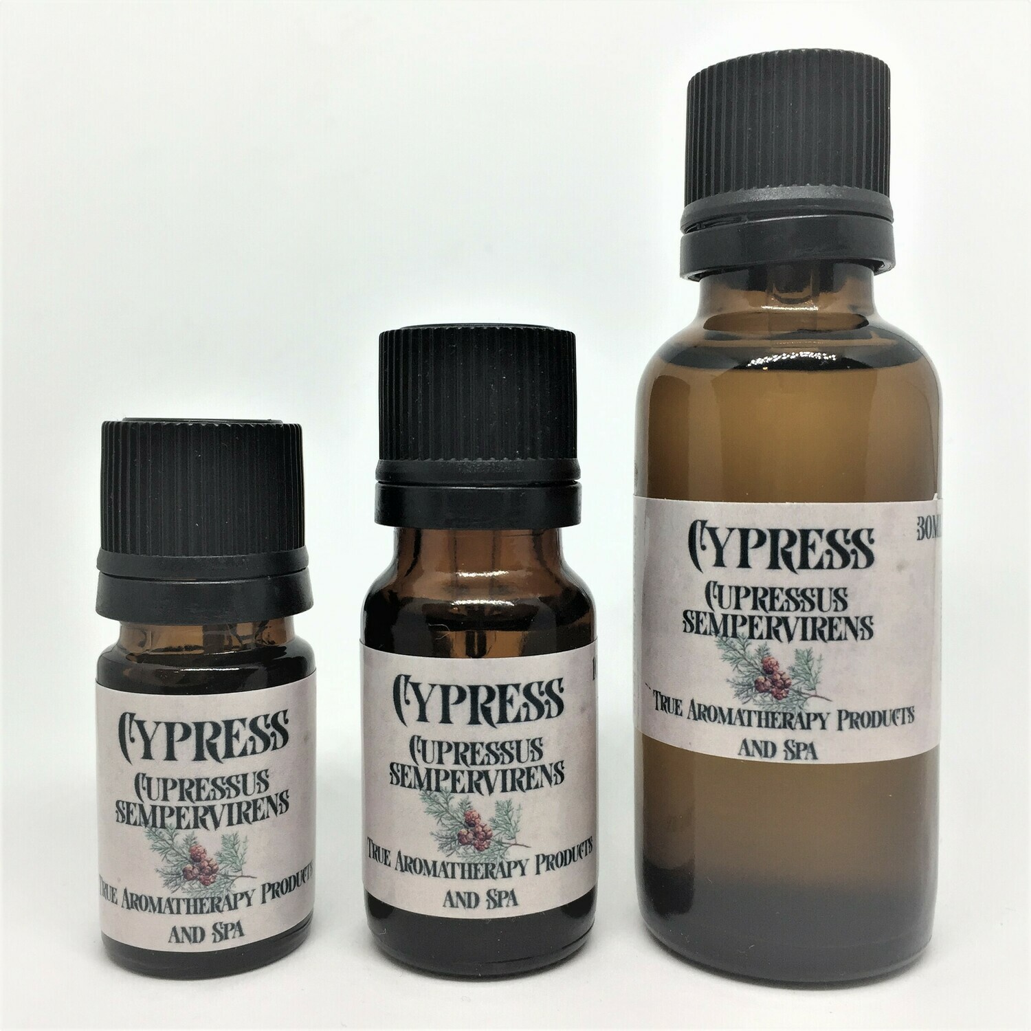 Cypress - Our Natural Products - TAP