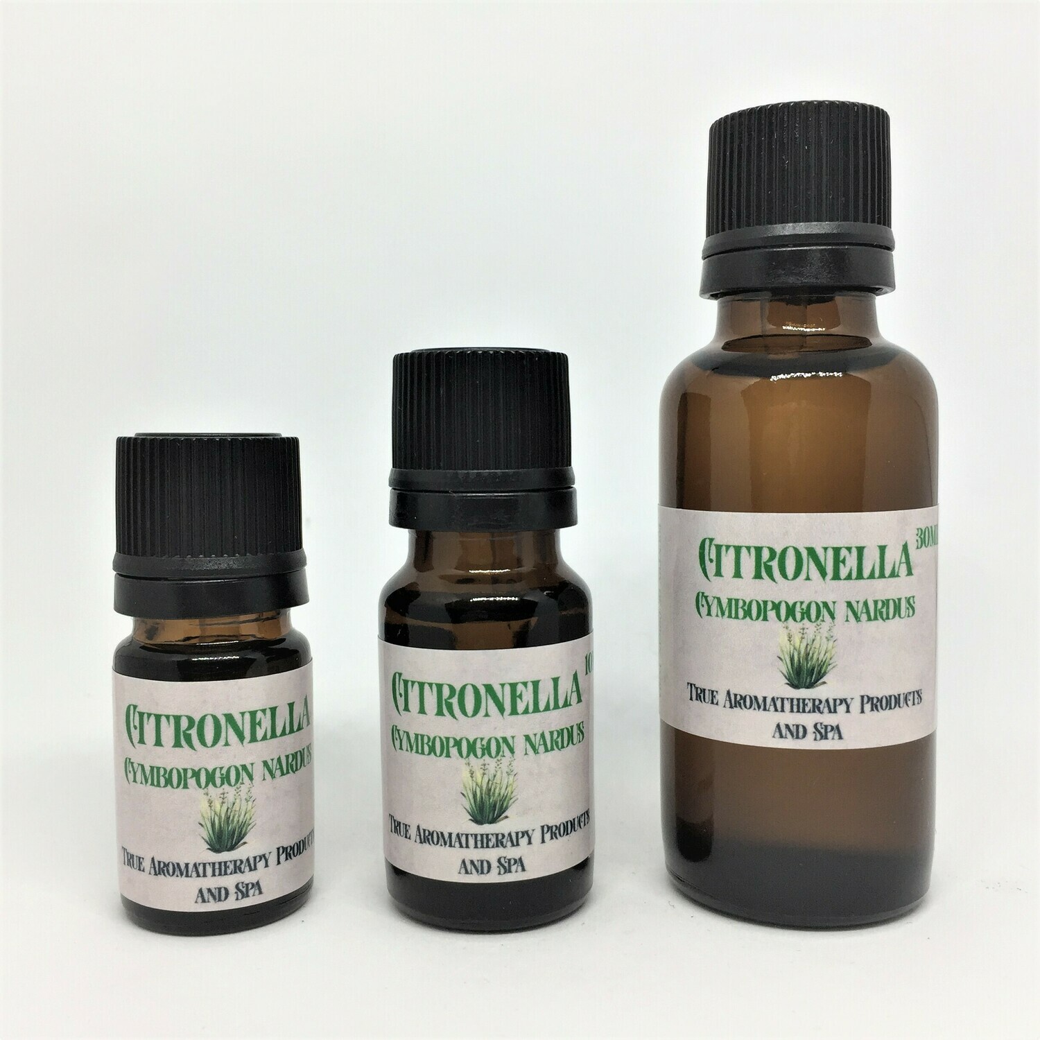 Citronella - Our Natural Products - TAP