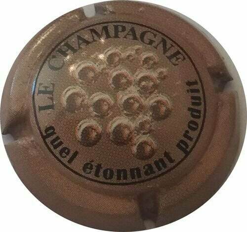 CAPSULE CHAMPAGNE GENERIQUE REF N°795e