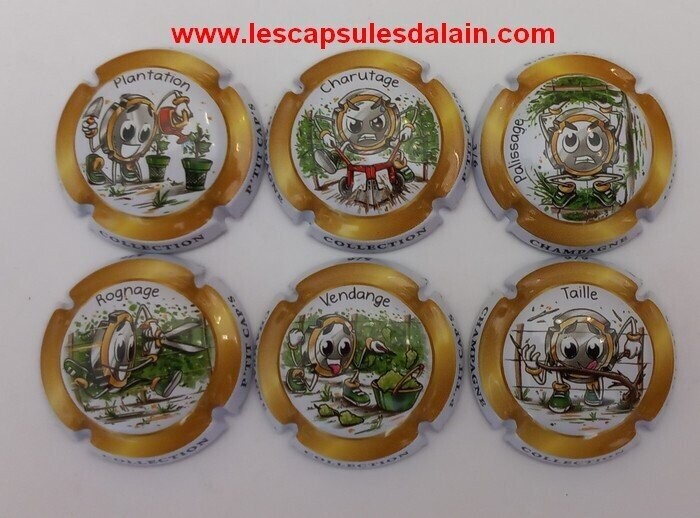 6 BELLES CAPSULES CHAMPAGNE GENERIQUE P'TIT CAP'S REF N° 1204f a 1204k ...