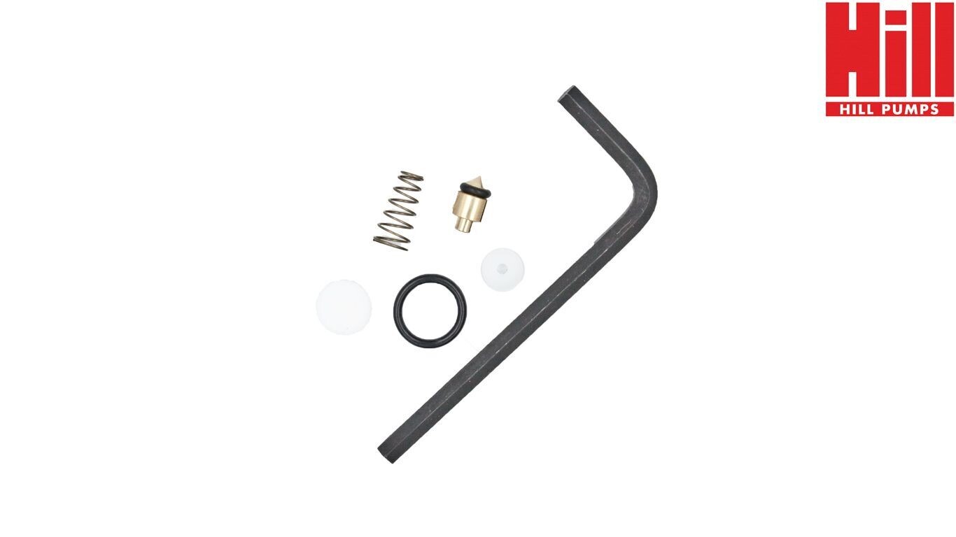 Z5128-250 Hills Pump MK5 Non Return Valve Kit (HIP5VK)