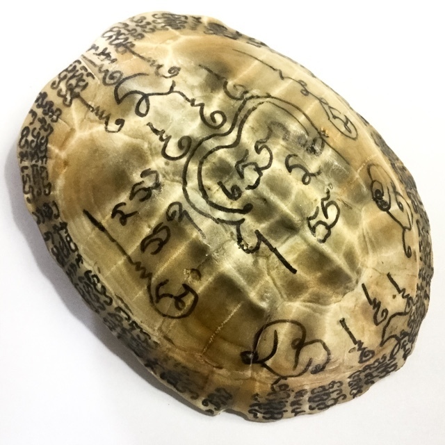 Tao Ruean Maha Pokasap Jarn Mer Temple Turtle Shell with Handmade Magic ...