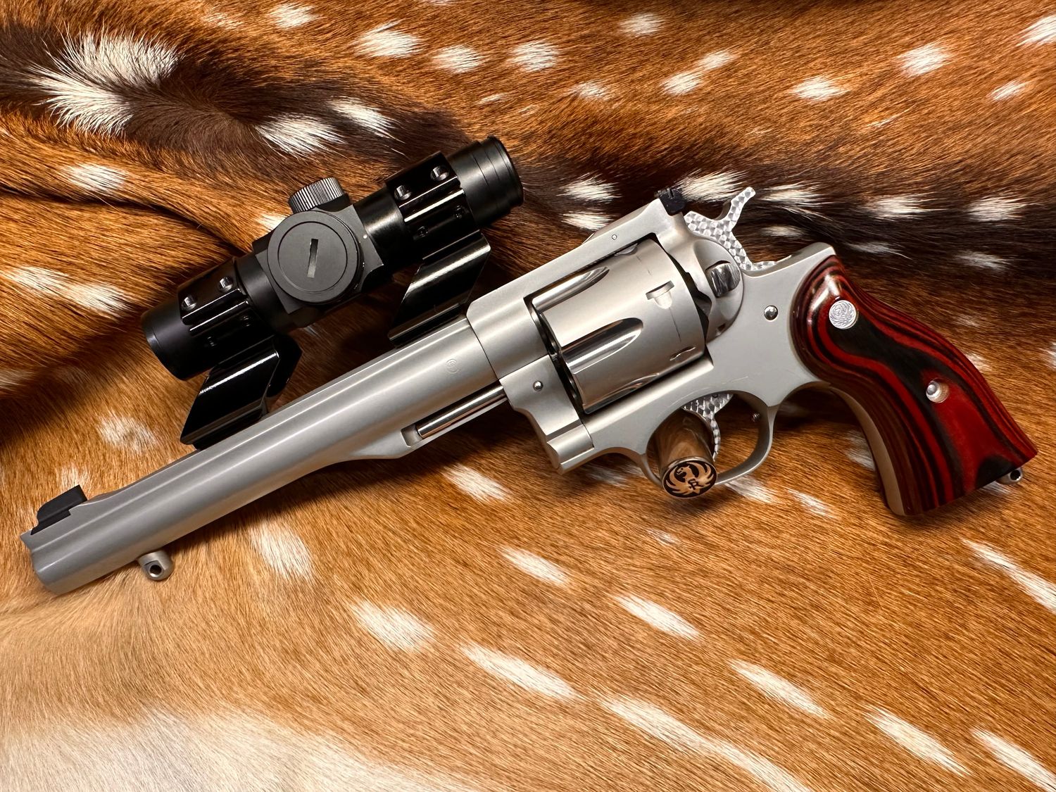 Ruger Redhawk .44 Magnum with Red Dot
