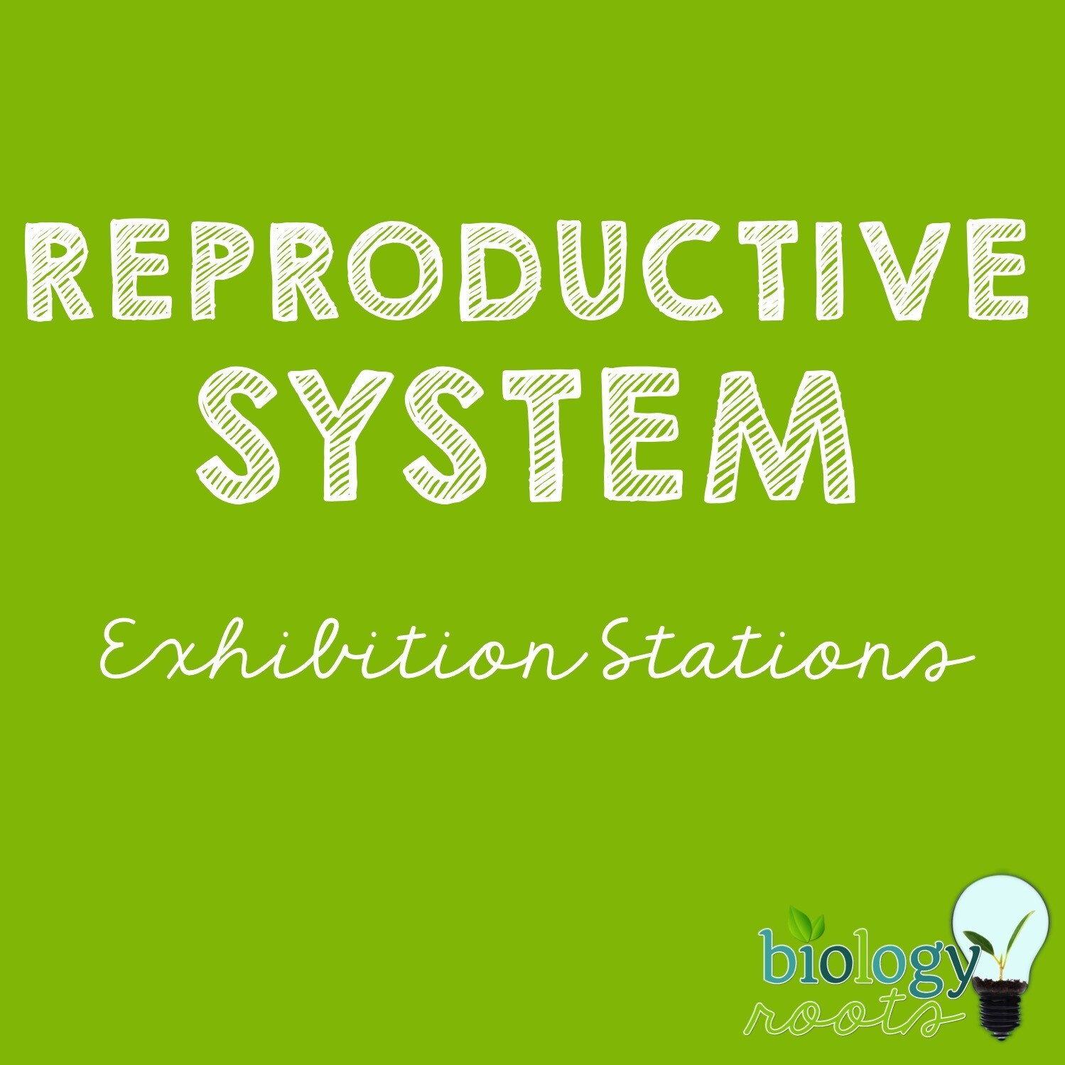 Reproductive System Exhibition Stations - Store - Biology Roots