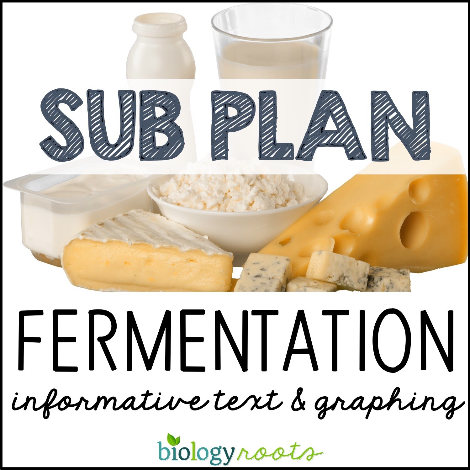 Science Literacy Sub Plan- FERMENTATION - Store - Biology Roots