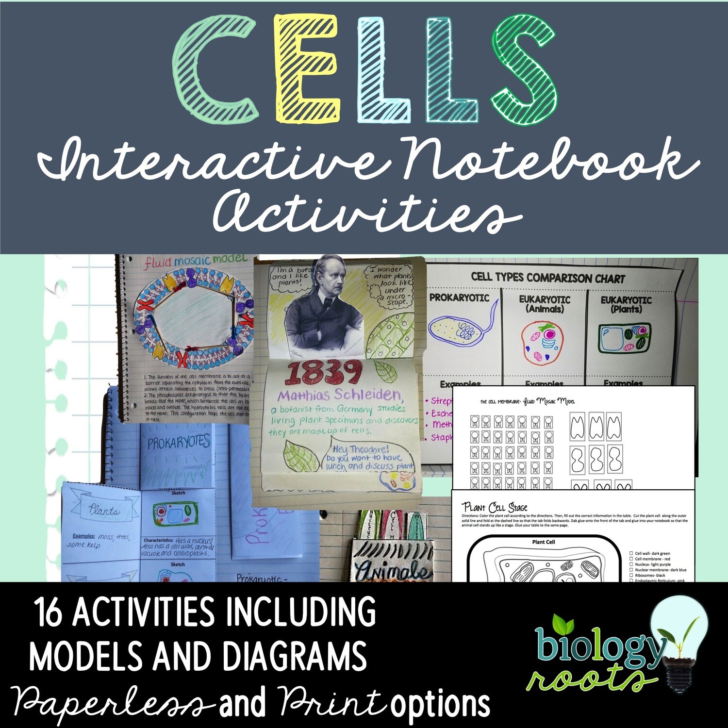 Cells Interactive Notebook - Store - Biology Roots