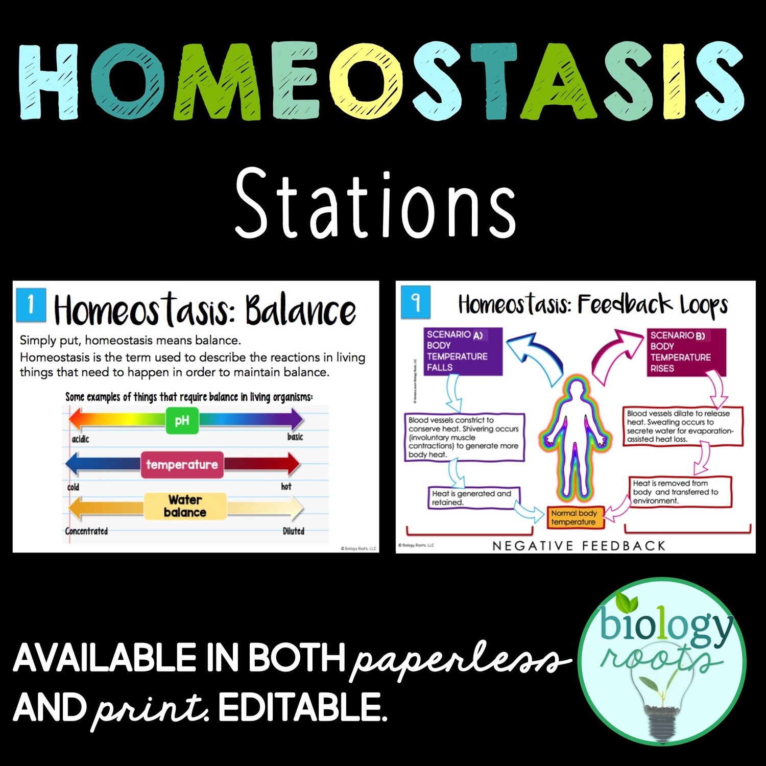Homeostasis Stations - Store - Biology Roots