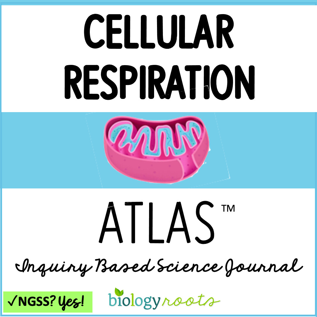 Cellular Respiration NGSS Inquiry ATLAS Journal - Store - Biology Roots