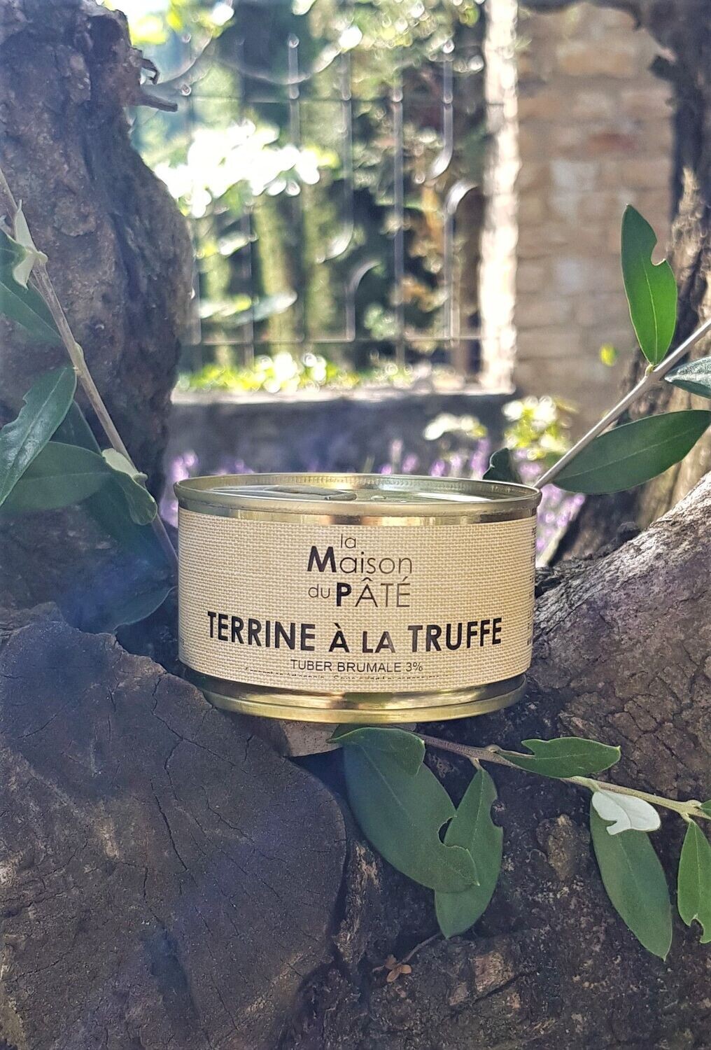 Terrine à la truffe (tuber brumale 3%) - Boite de 130 grs