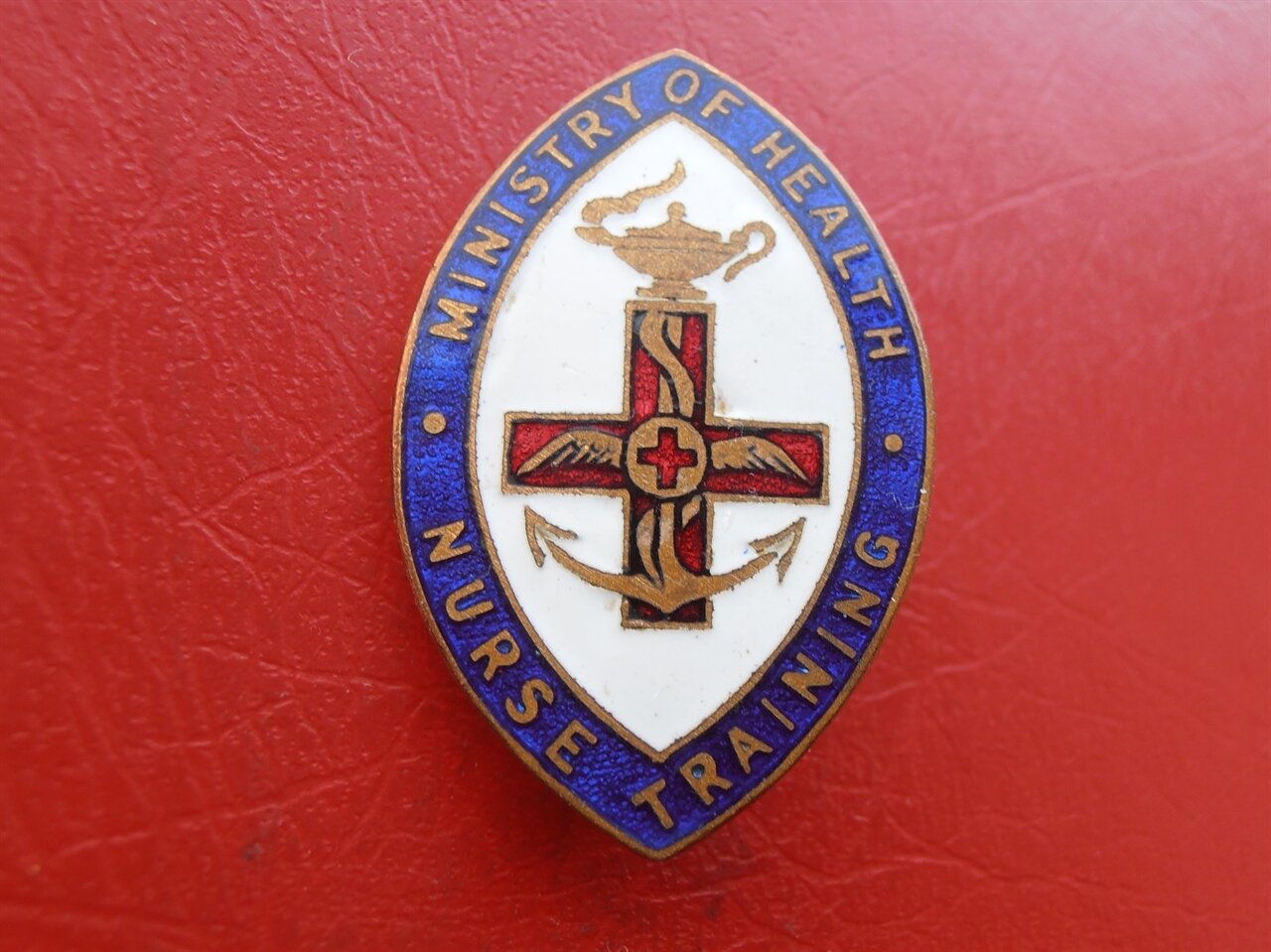 Ministry of Health Nurse Training Badge