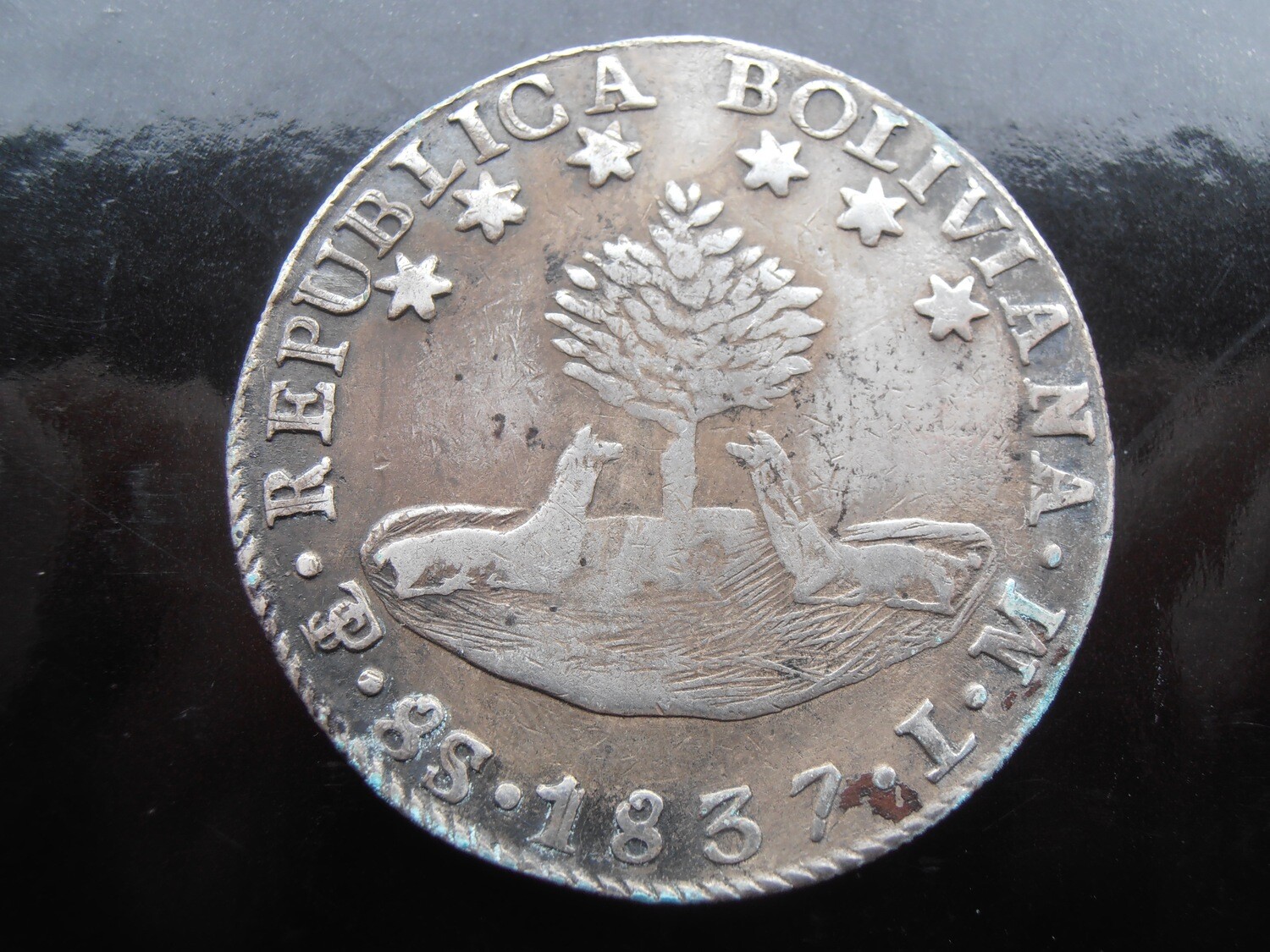 Bolivia 8 Soles - 1837