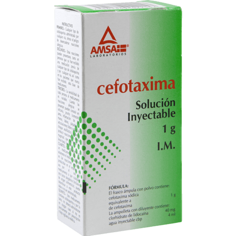 Cefotaxima Solución Inyectable 1g Intramuscular
