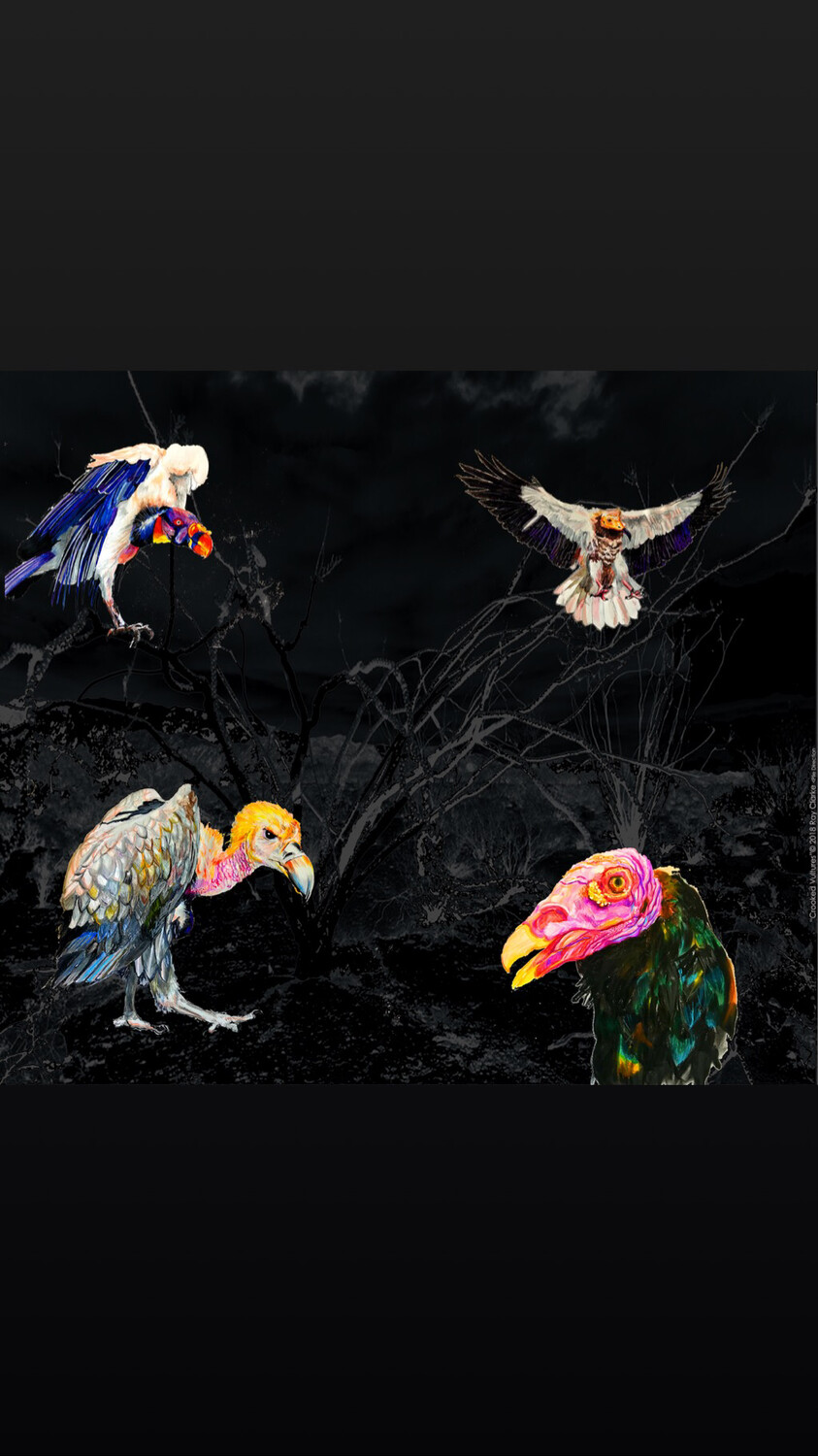 Crooked Vultures ©️2018 Printed Velvet Fabric - Store - Atelier Ray Clarke