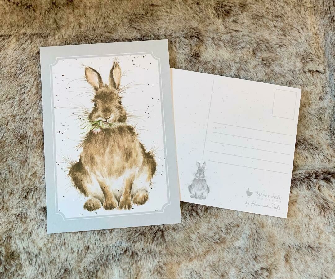 'Bunny' Postcard