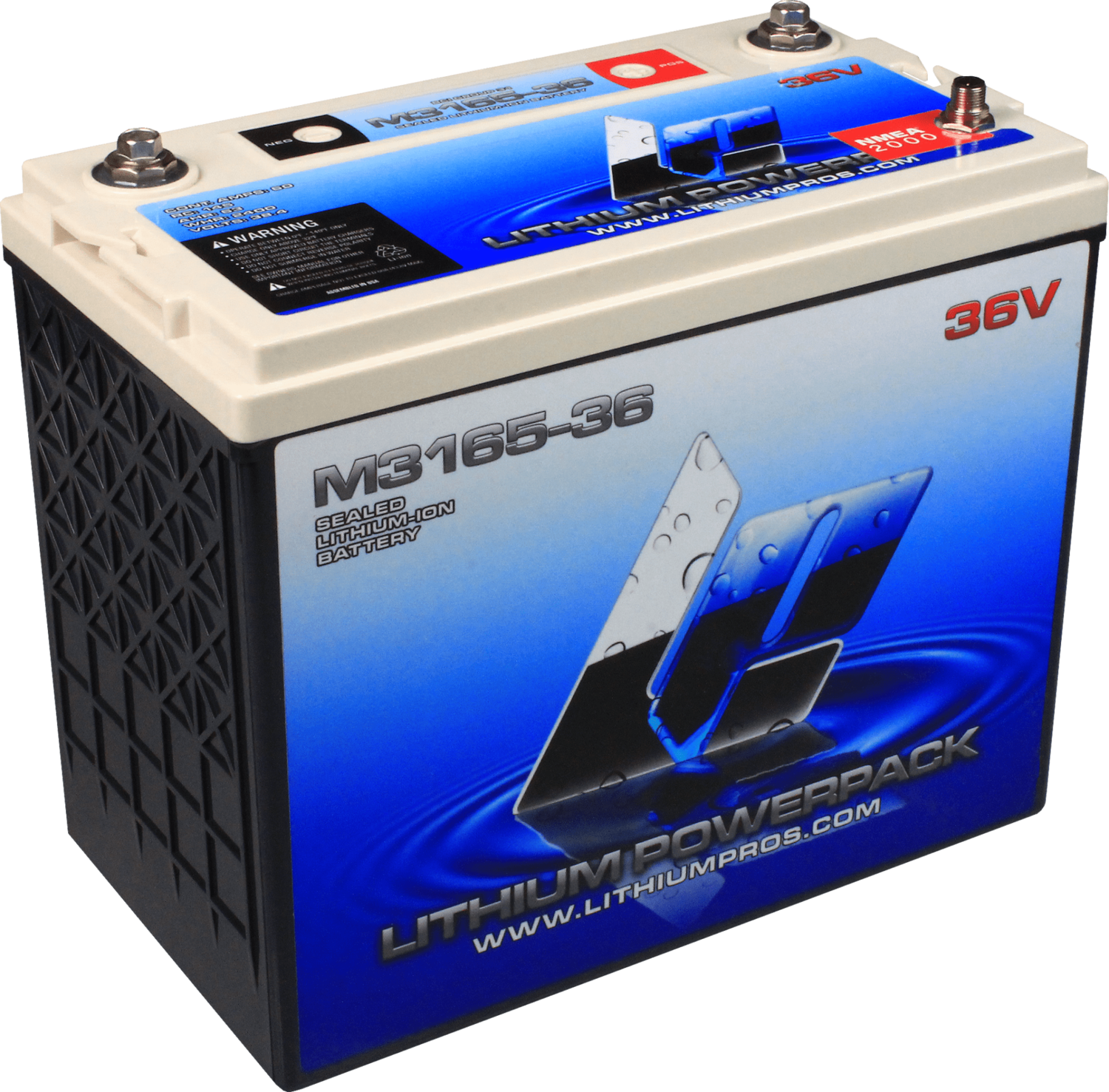 M3165-36 36V 65AH TROLLING BATTERY