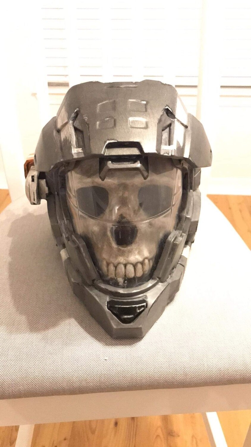 Reach Pilot Helmet Visor