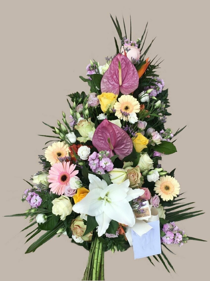 Gerbe piquée - Limpide